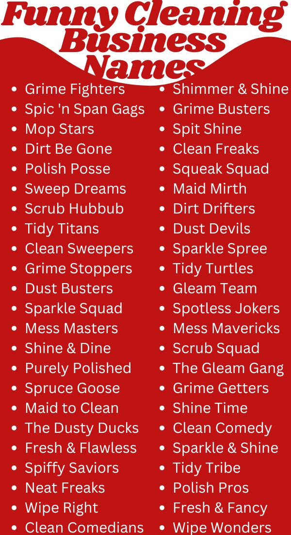 570+ Funny Cleaning Business Names Unique Cool & Catchy