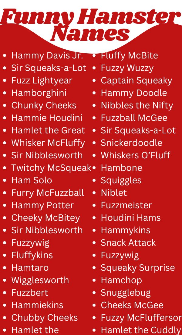 550+ Funny Hamster Names Creative Unique Epic Cool & Cute