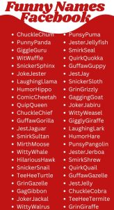 500+ Funny Names For Facebook Creative Unique Cool & Epic