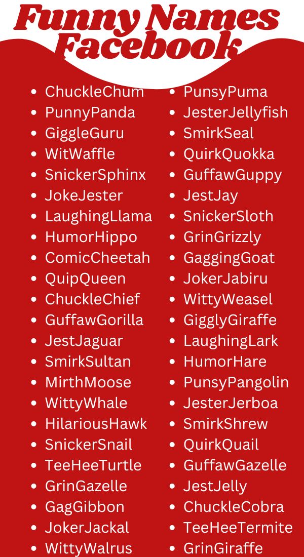 500+ Funny Names For Facebook Creative Unique Cool & Epic