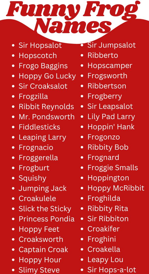 530+ Funny Names For Frogs Creative Unique Hilarious & Cute