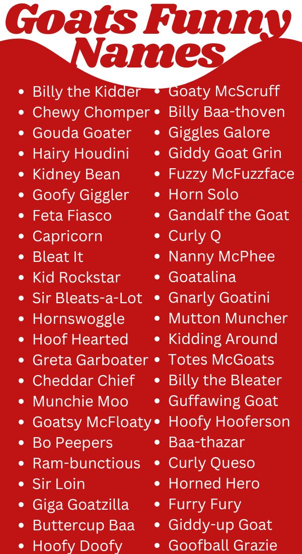 550+ Funny Names For Goats Creative Unique Epic & Cool