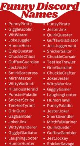 480+ Funny Discord Names Unique Creative Hilarious & Cool