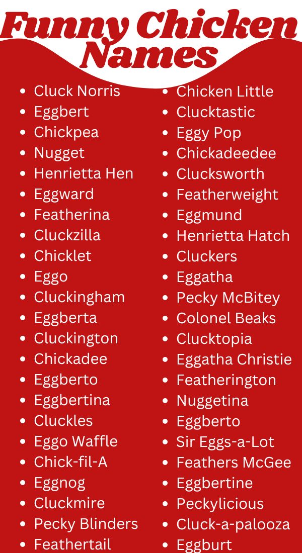 530+ Funny Chicken Names Creative Unique Hilarious & Cool