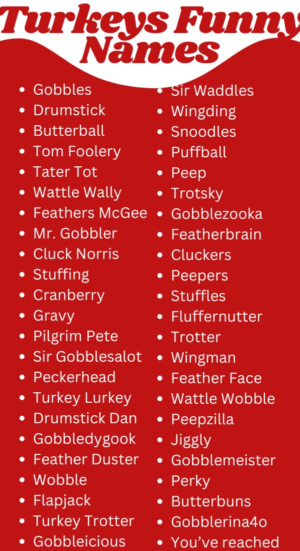 500+ Funny Names For Turkeys Creative Unique Cool & Epic