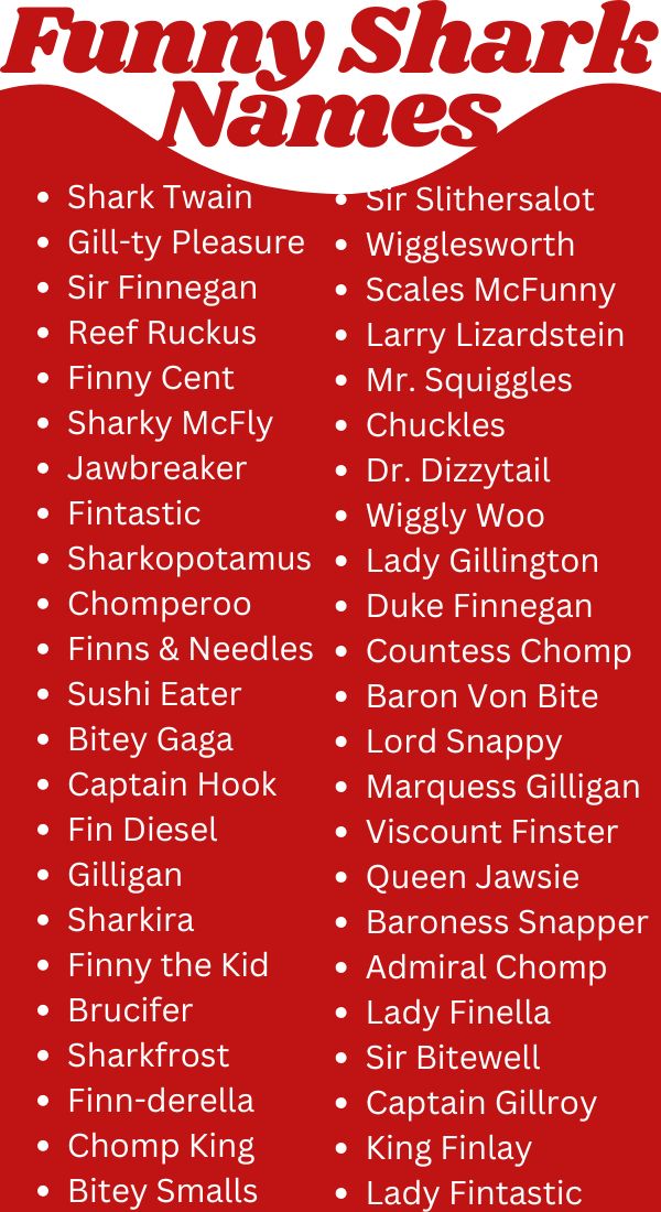 550+ Funny Shark Names Creative Unique Swag Cute & Cool