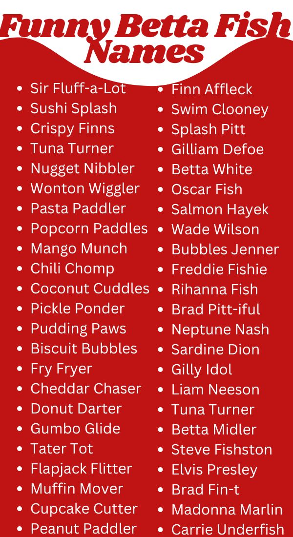 500+ Funny Betta Fish Names Unique Stylish Creative & Cute