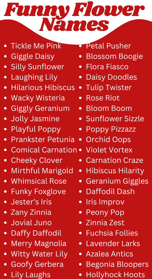 550+ Funny Flower Names Unique Creative Pretty Cool & Cute