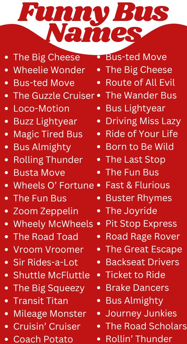 530+ Funny Bus Names Stylish Creative Unique Cool & Catchy