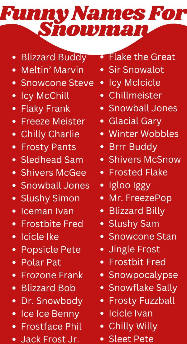 550+ Funny Names For Snowman Stylish Creative Unique & Cool