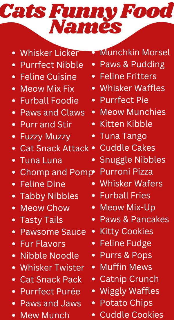 Unique and Funny Food Names For Cats That Are Simply Delicious - My ...